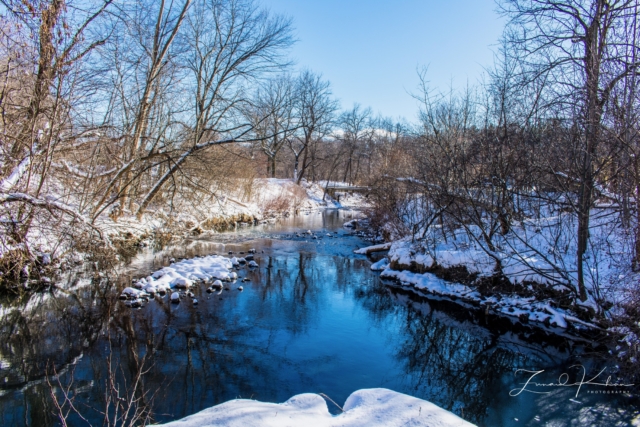 Toronto Field Naturalists – Enjoy and preserve nature with us!