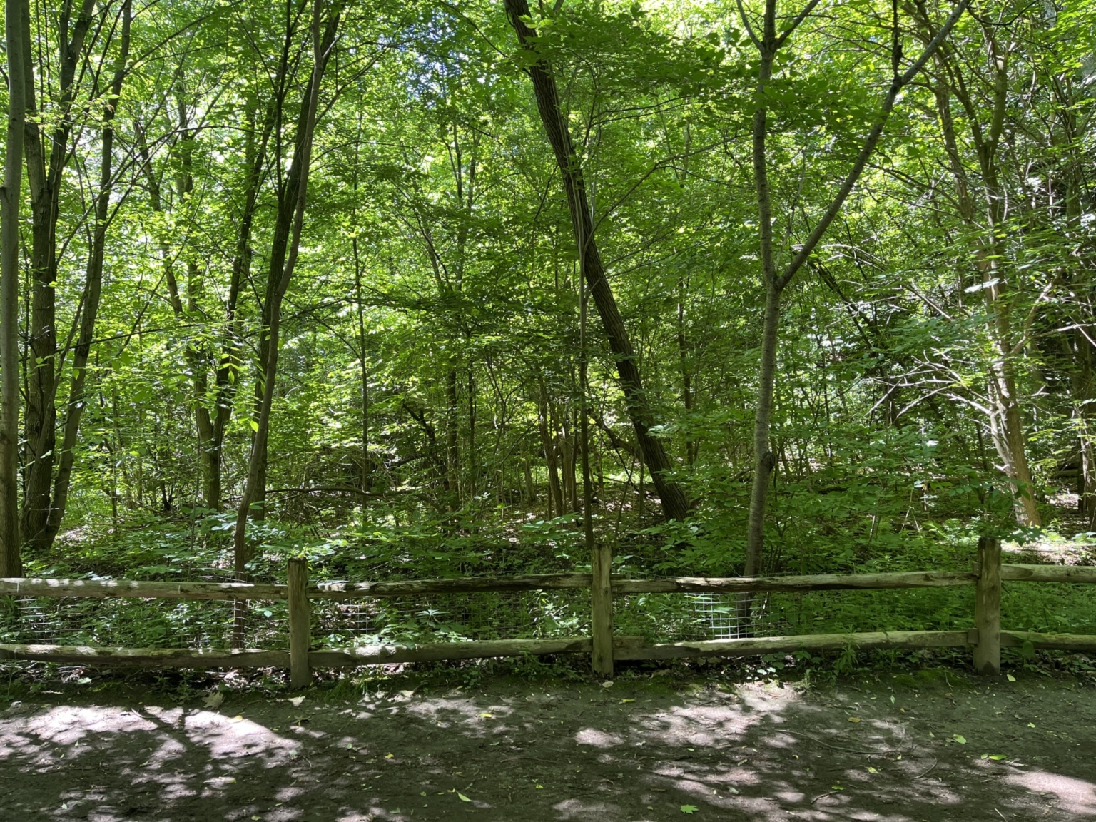 Toronto Field Naturalists – Enjoy and preserve nature with us!